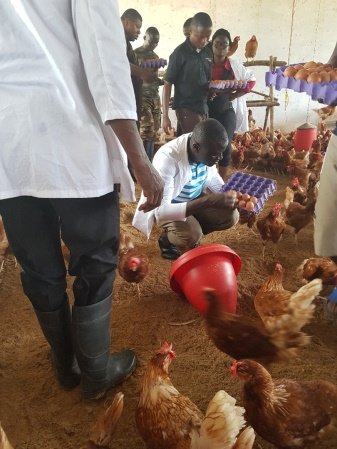 To facilitate timely harvest in Sierra Leone… Pastor Mambu Appeals for ...