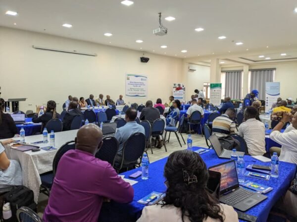 Dr. Austin Demby Calls for Bold Vision as Sierra Leone Crafts 2026–2030 ...