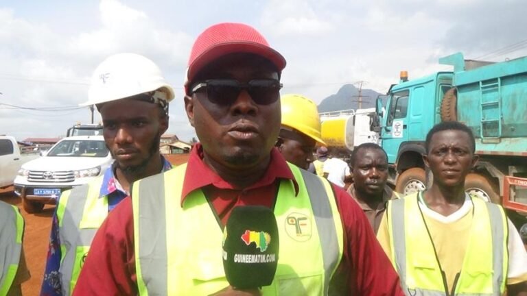 Pavi Fort Sets Regional Benchmark With Landmark Projects in Guinea and ...